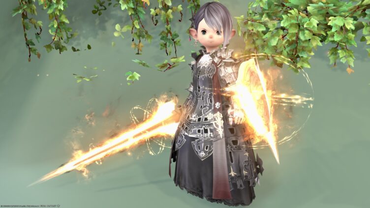 Paladin’s Anima Weapon Final Stage: Crimson Flame Sword Shield “Aettir ...