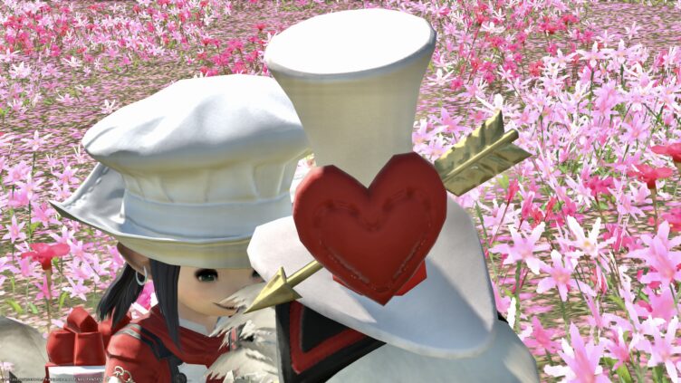 Exceptionally cute Valentione chocobo armor “Authentic Paramour Barding ...