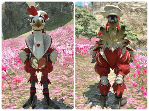 Exceptionally cute Valentione chocobo armor “Authentic Paramour Barding ...
