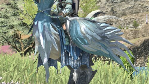 Hydaelyn’s divinely adorable chocobo armored “Barding of Divine Light ...