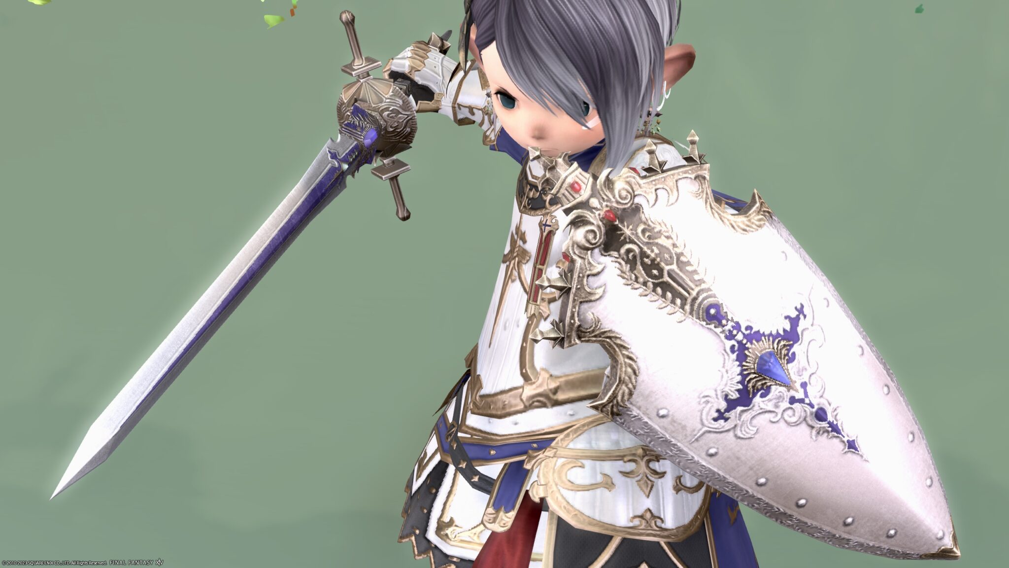 “Enhancing Sword & Ritter Shield” The Most Beautiful Paladin Sword ...