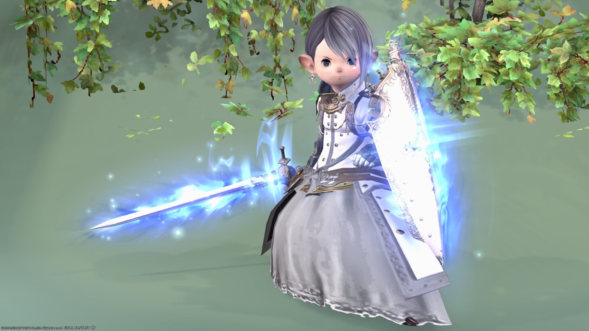 Paladin’s Resistance Weapon 4th Form / Luminous Palace Equipment ...