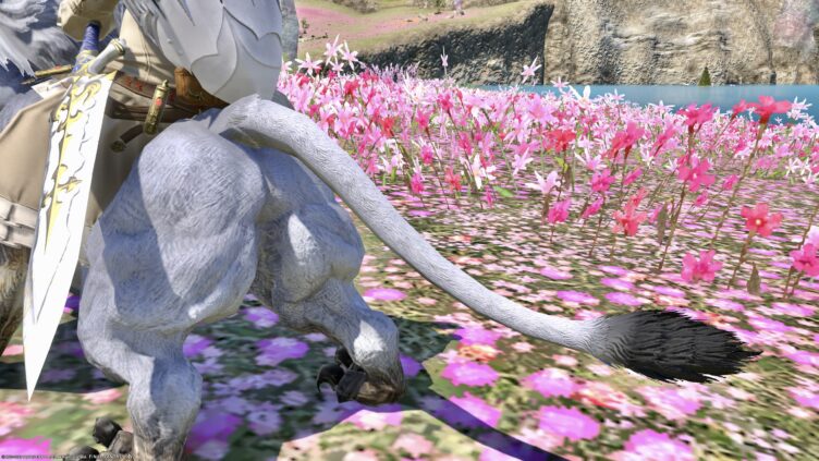 White Lion Mount / But Somebody’s Gotta Do It (Paladin) Achievement ...