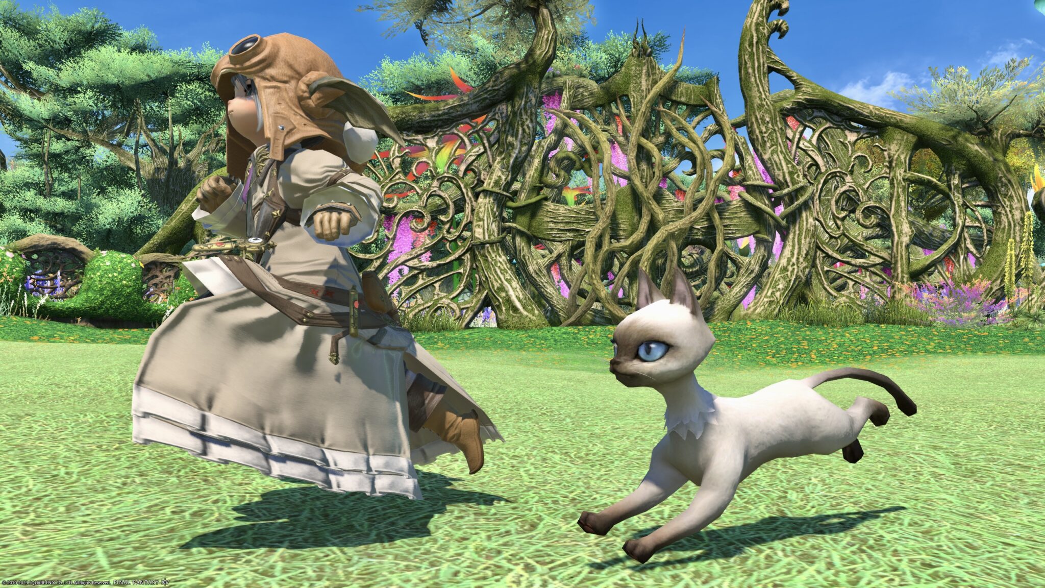 Noble and cute Siamese cat minion with blue eyes “Nagxian Cat ...