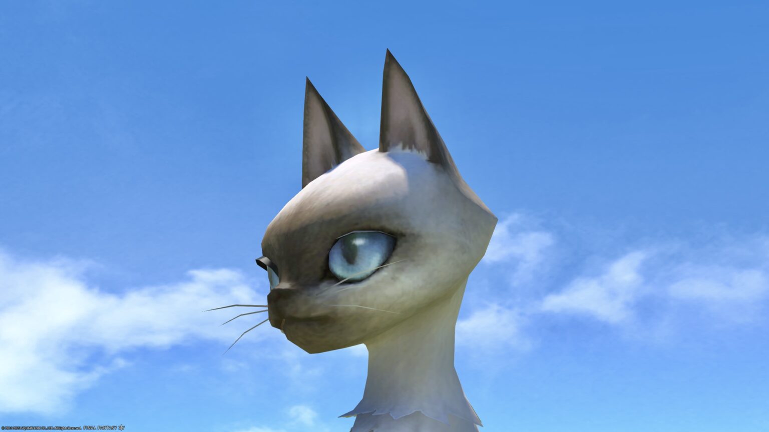 Noble and cute Siamese cat minion with blue eyes “Nagxian Cat ...