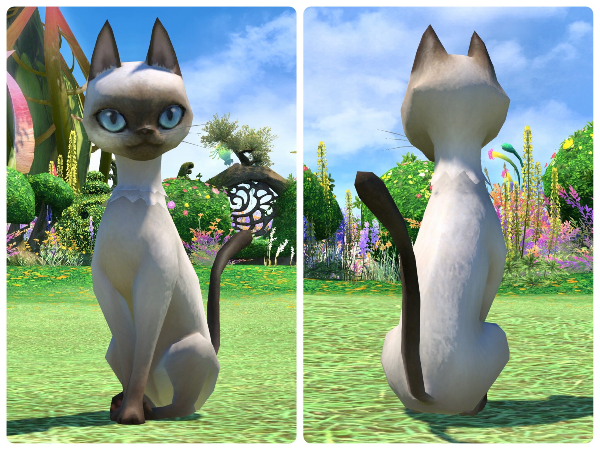 Noble and cute Siamese cat minion with blue eyes “Nagxian Cat ...