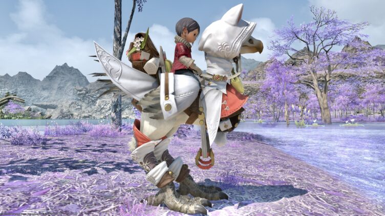 The cutest cat ear chocobo armor “Felicitous Barding” (The island ...