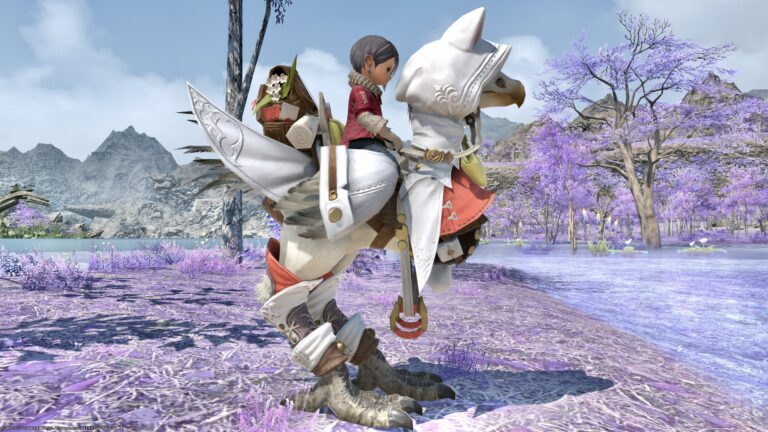 The cutest cat ear chocobo armor “Felicitous Barding” (The island ...