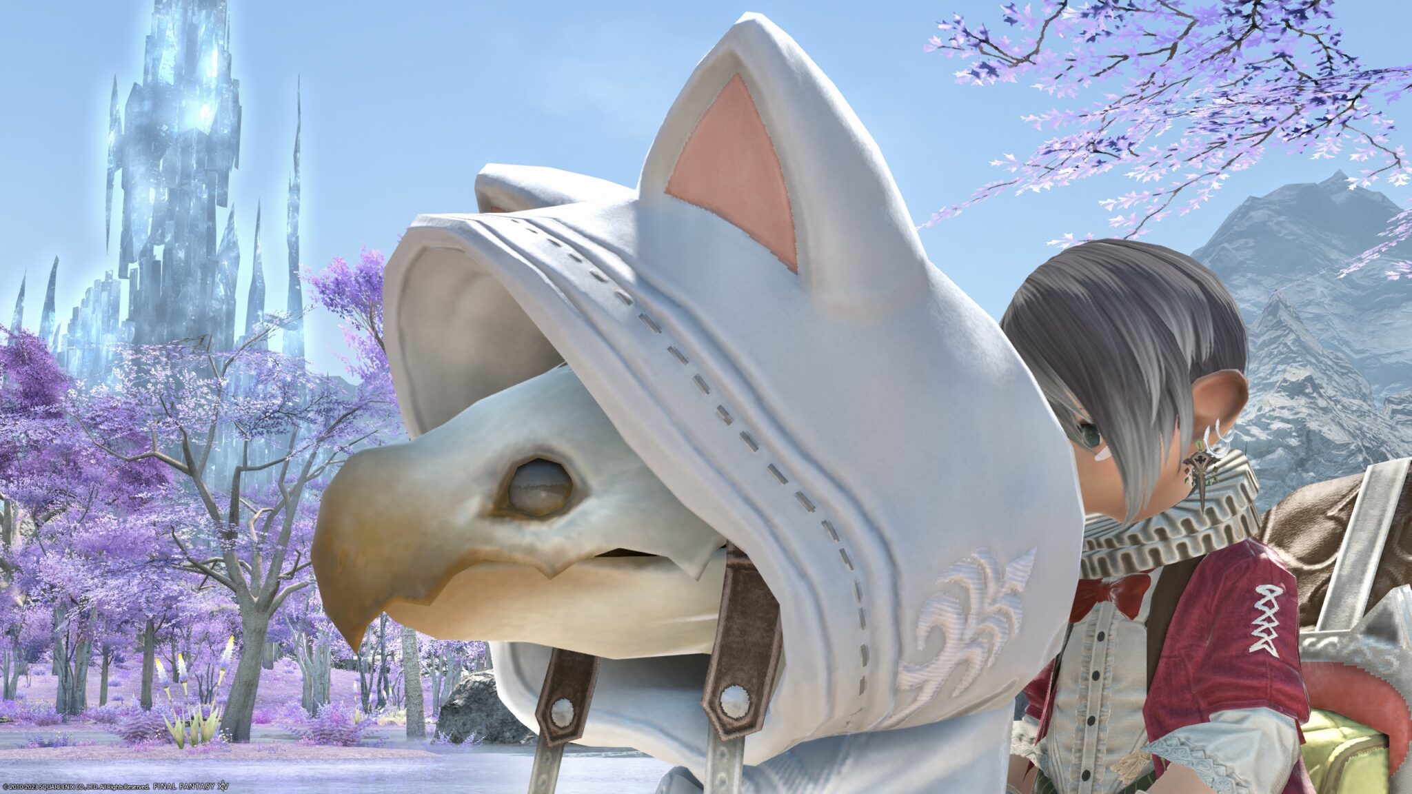 The cutest cat ear chocobo armor “Felicitous Barding” (The island ...