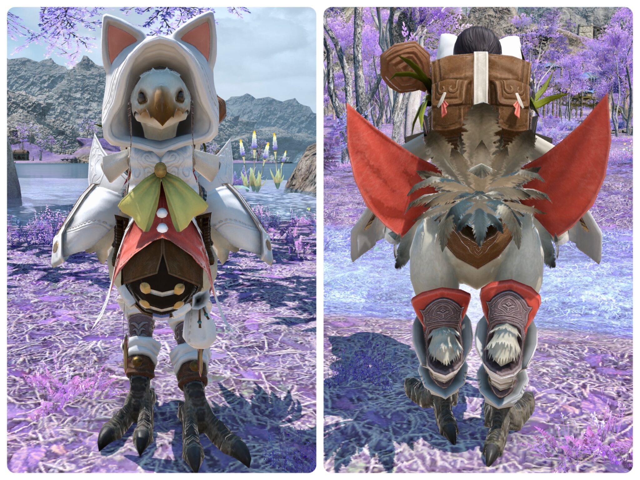 The cutest cat ear chocobo armor “Felicitous Barding” (The island ...