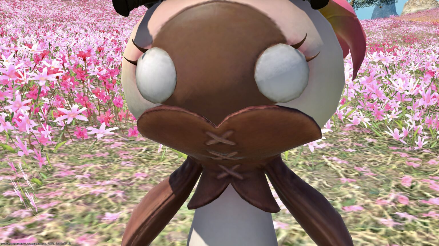 The pretty princess of Mandragora? The island sanctuary mounts “Island ...