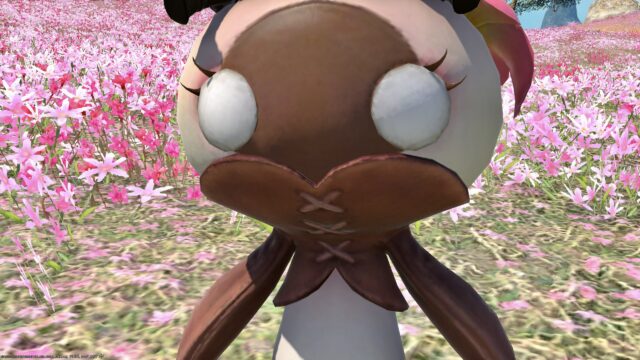 The pretty princess of Mandragora? The island sanctuary mounts “Island ...