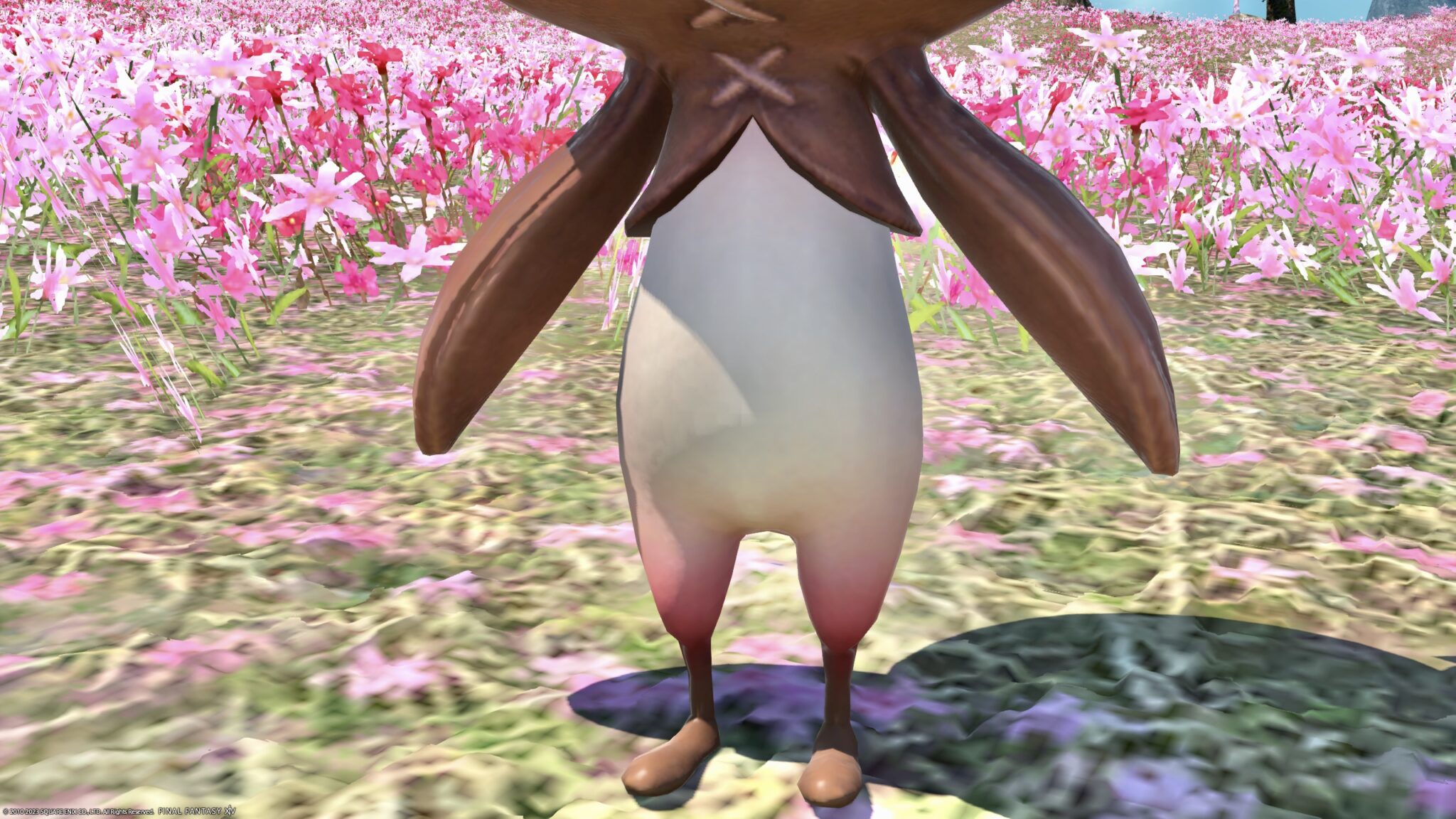 The pretty princess of Mandragora? The island sanctuary mounts “Island ...