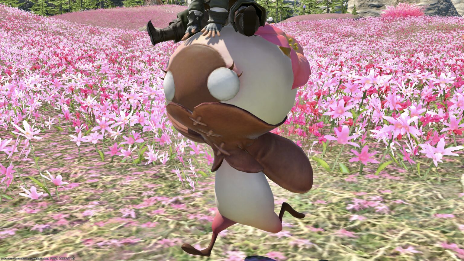 The pretty princess of Mandragora? The island sanctuary mounts “Island ...