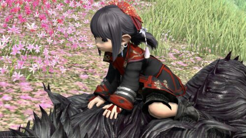 Eden’s Promise: Litany “Shadowkeeper” Mount “Shadow Wolf” (Lalafell Ver ...