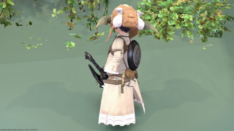 Paladin’s ultra-precious stretch sword, rare F.A.T.E. Odin weapon ...