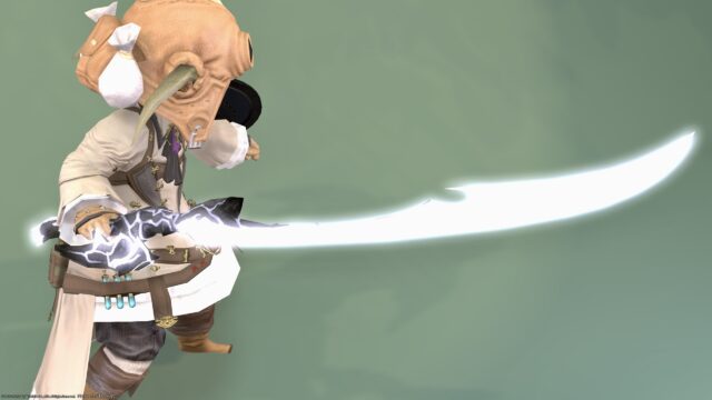 Paladin’s ultra-precious stretch sword, rare F.A.T.E. Odin weapon ...