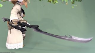 Paladin’s ultra-precious stretch sword, rare F.A.T.E. Odin weapon ...