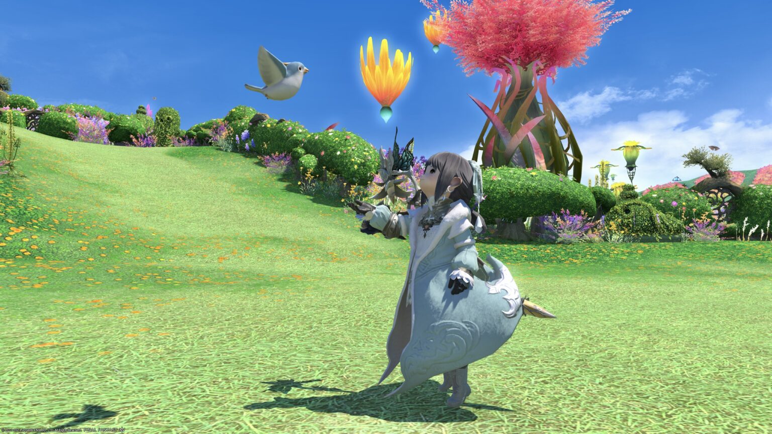 A very cute bird minion “Bluebird” that brings happiness | Norirow Note ...