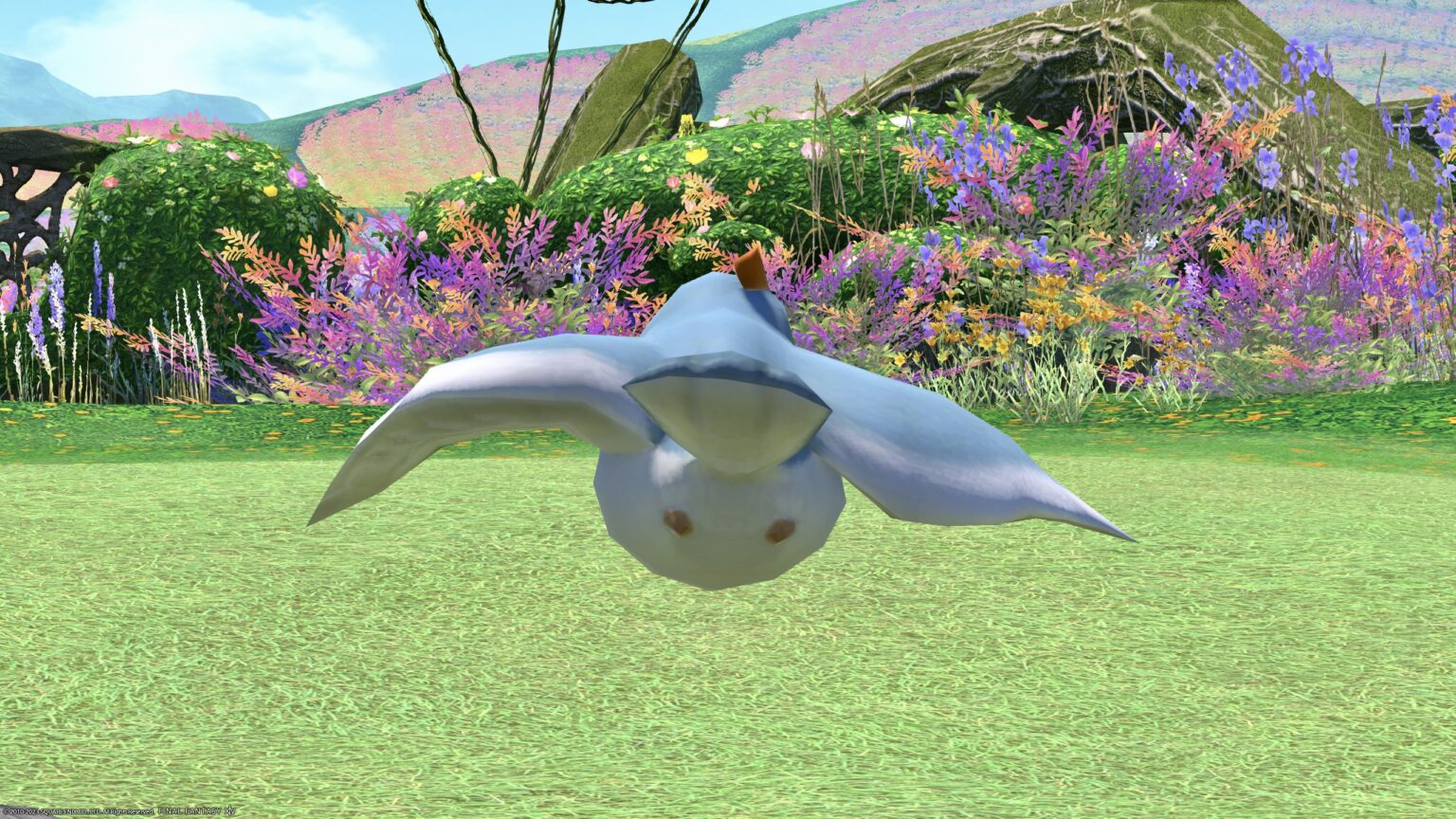 A very cute bird minion “Bluebird” that brings happiness | Norirow Note ...