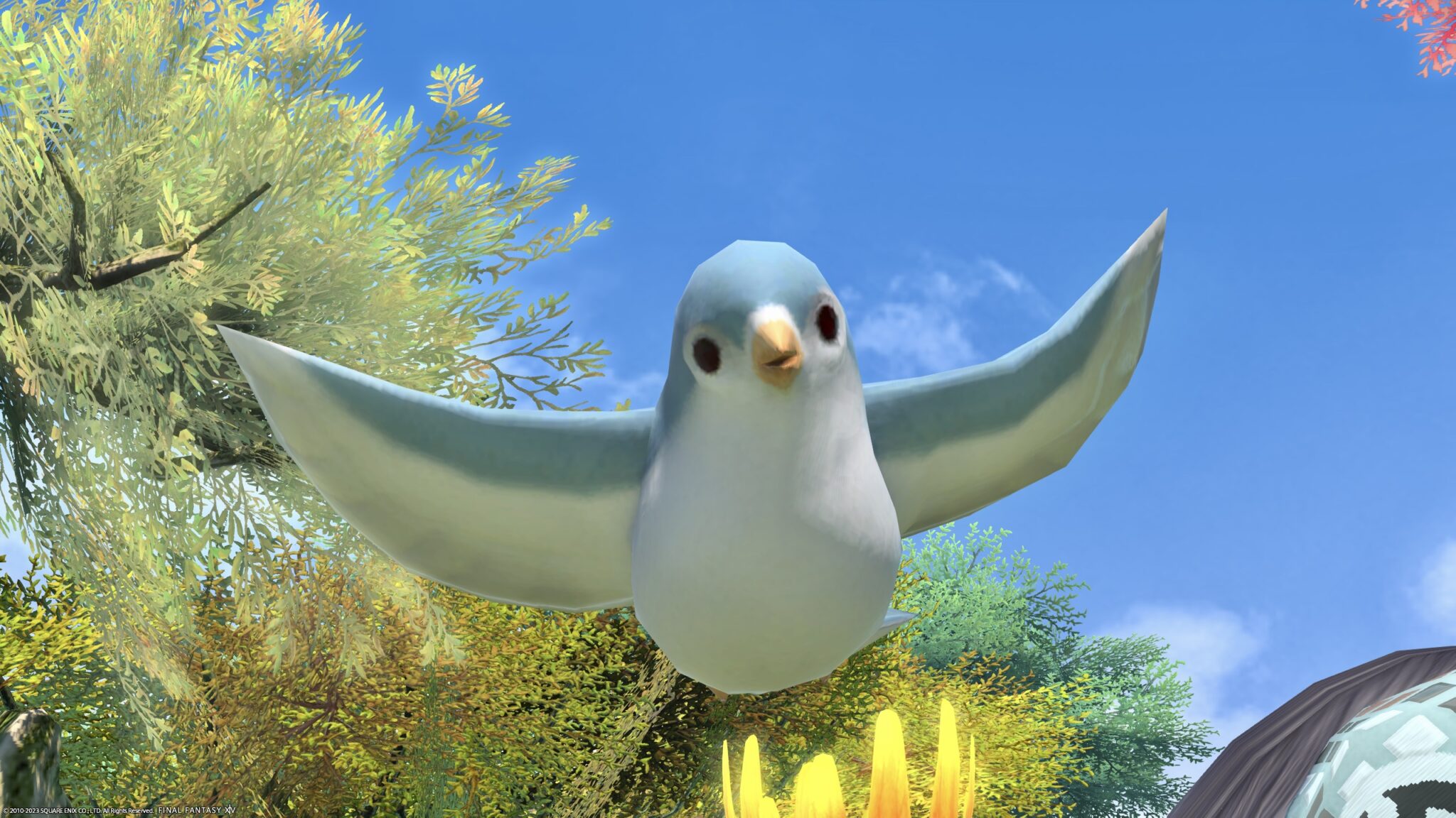 A very cute bird minion “Bluebird” that brings happiness | Norirow Note ...