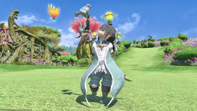 A very cute bird minion “Bluebird” that brings happiness | Norirow Note ...