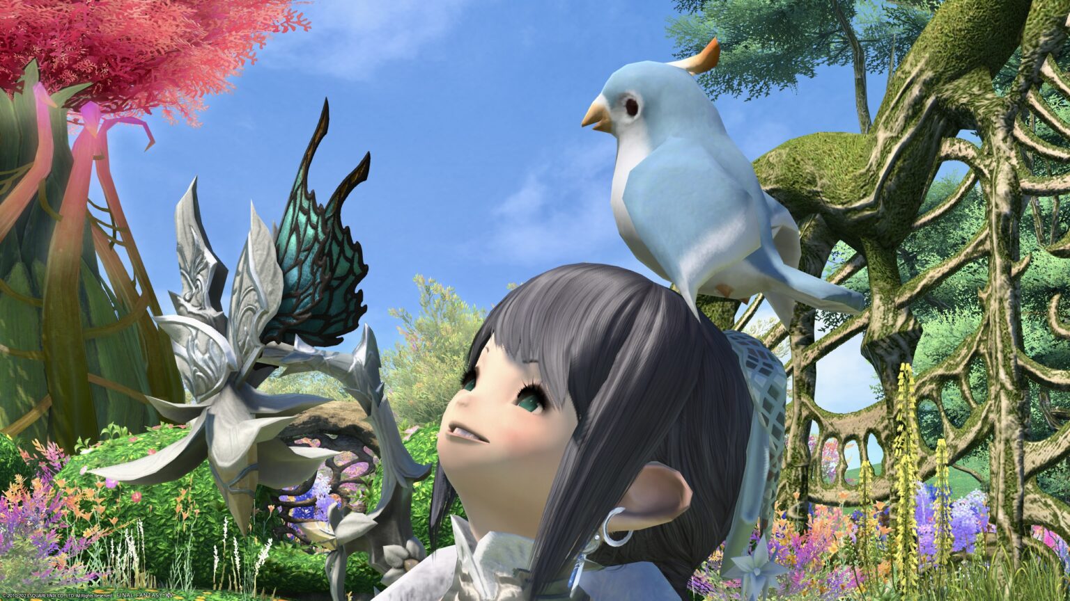 A very cute bird minion “Bluebird” that brings happiness | Norirow Note ...