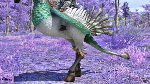 Resplendent Feather Peacock Deer Bird Mount “Alkonost” (Treasure Map ...