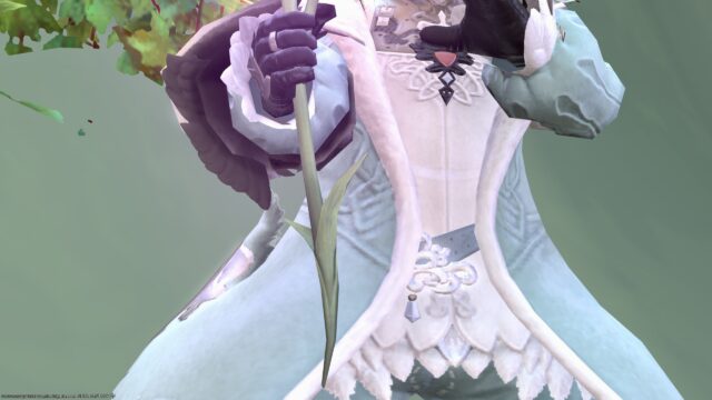 A cute moogle bouquet? White Mage’s precious glowing one-handed staff ...
